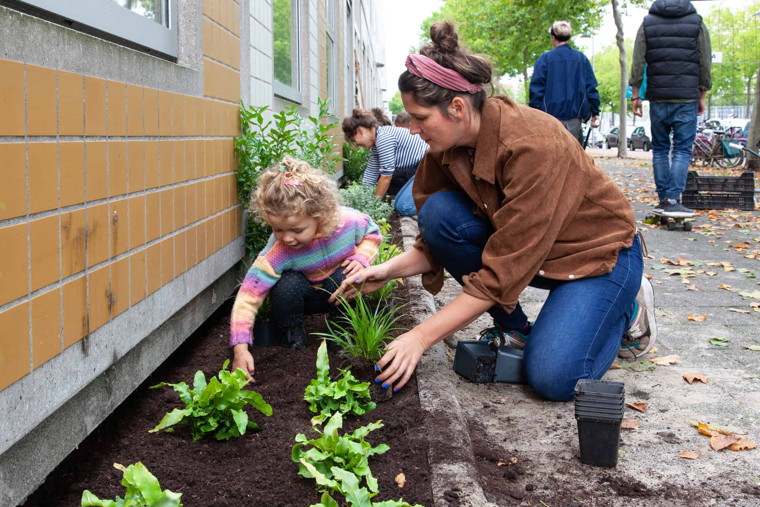 De Geveltuin: mooi, nuttig en gezellig - Stichting Steenbreek