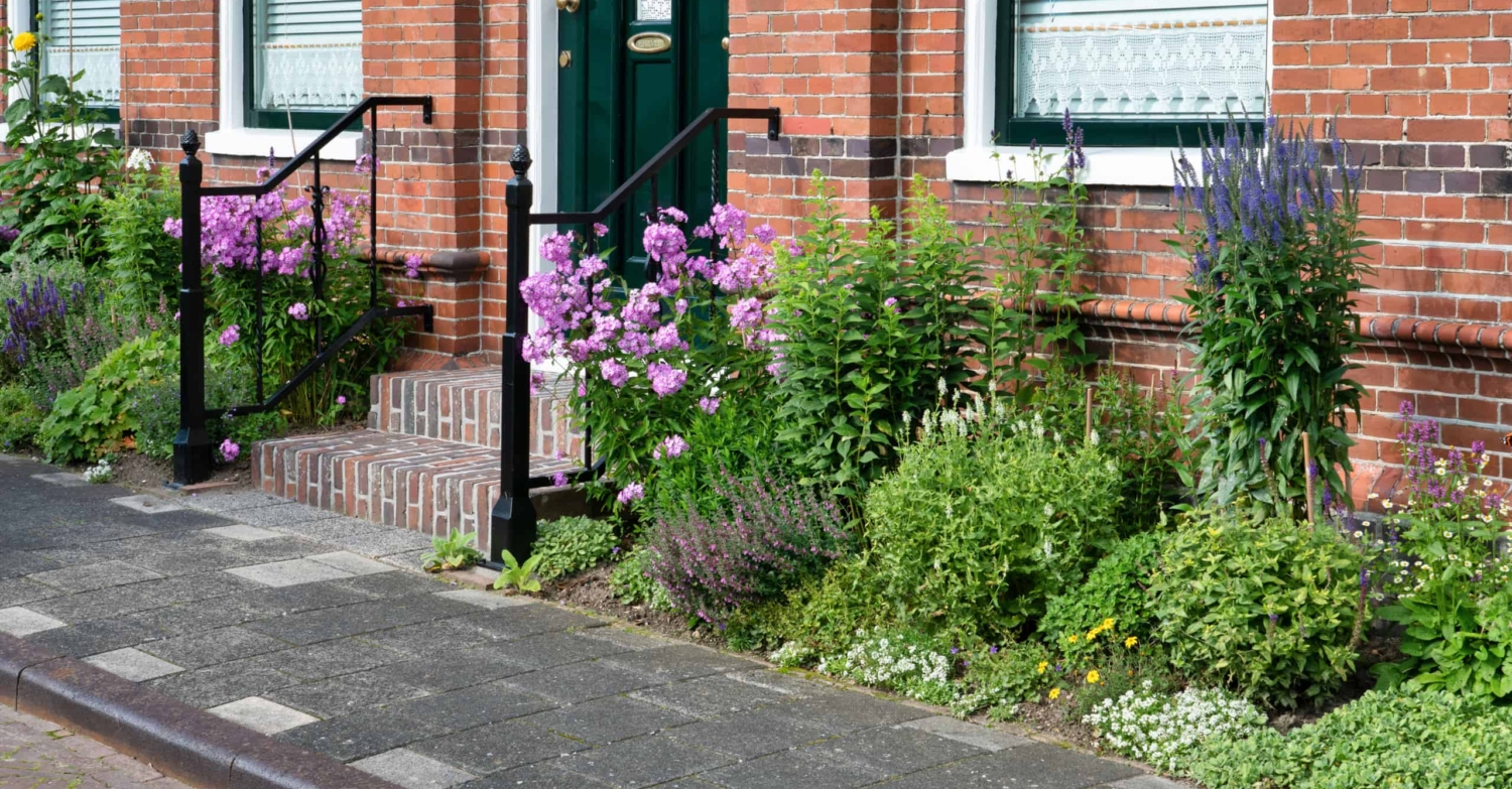 De Geveltuin: mooi, nuttig en gezellig - Stichting Steenbreek