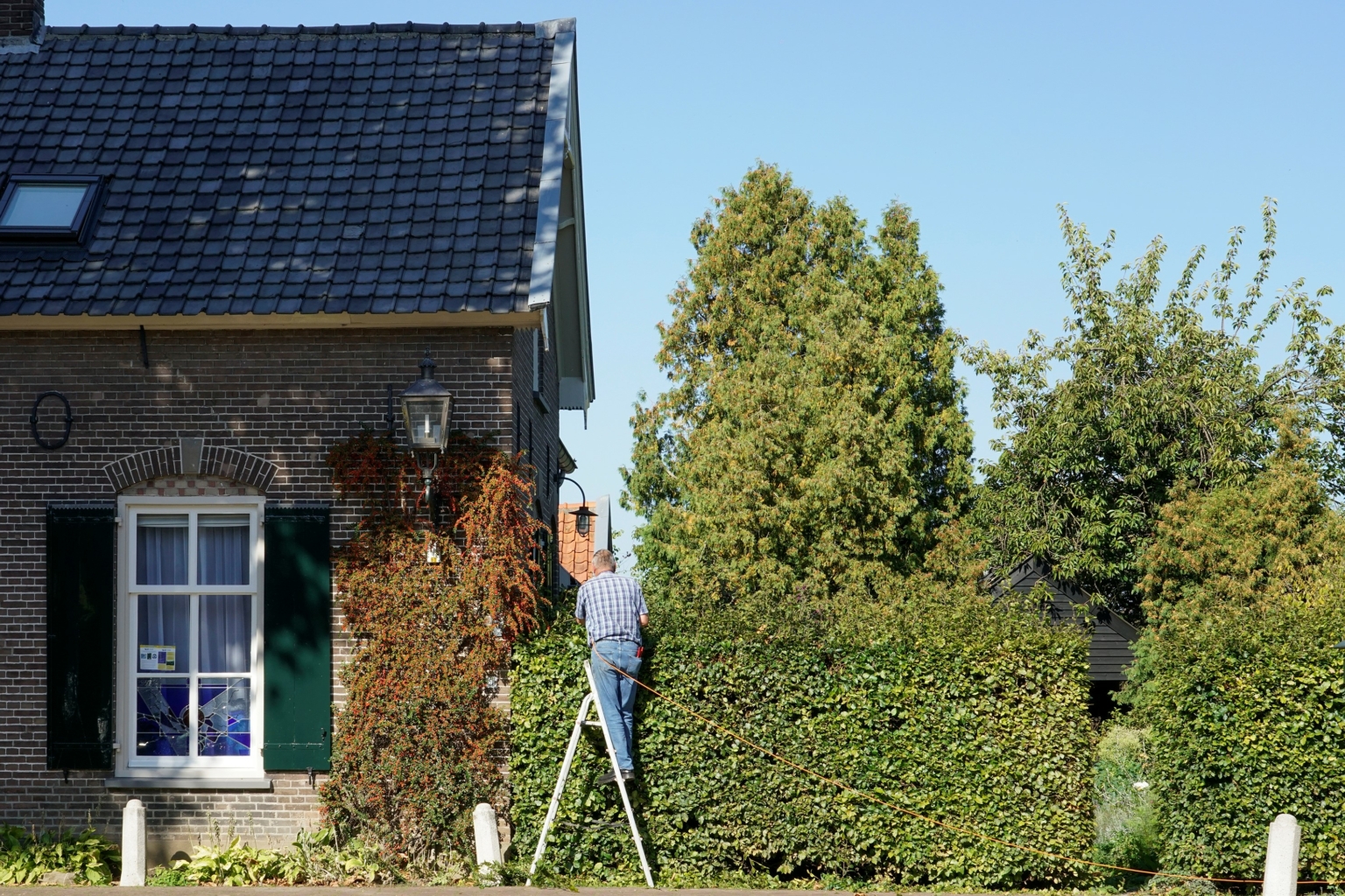 Een schutting of een haag? Ga voor groen! - Stichting Steenbreek