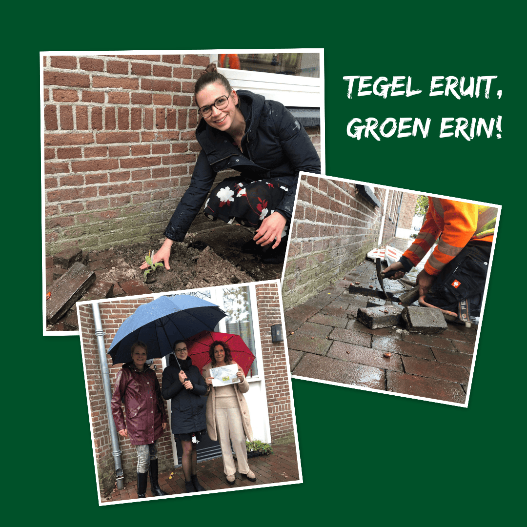 Gemeente Gemert-Bakel sluit aan bij Steenbreek met winactie voor ...